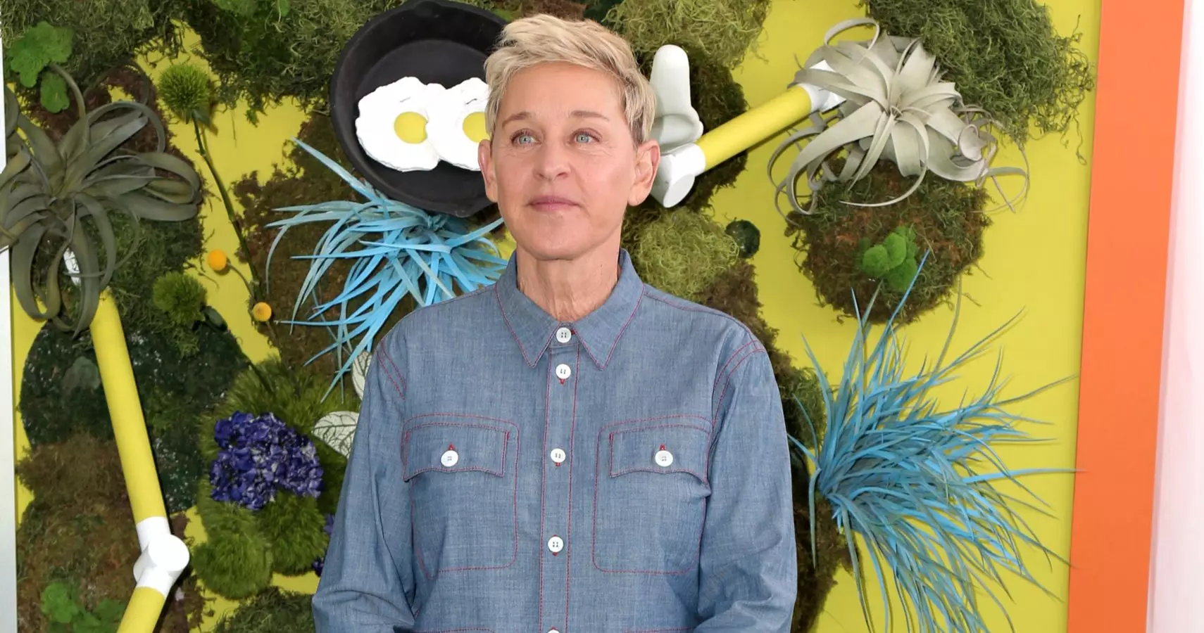Ellen DeGeneres ferkeapet har herenhuis fan $ 55 miljoen allinich om twa nije huzen te keapjen 10797_0