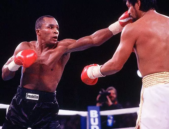 Sugar Ray Leonard Neto vrijednost 1090_2