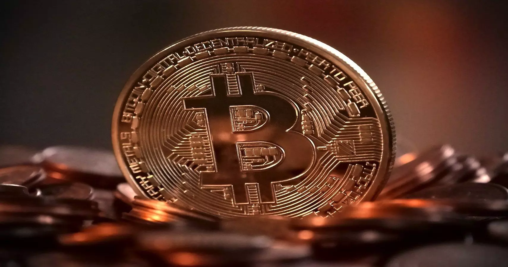 Güýçli ördekleriň çaga ýyldyzy nädip Bitcoin milliarderine öwrüldi 11519_3