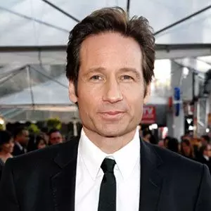 David Duchovny มูลค่าสุทธิ 12046_1