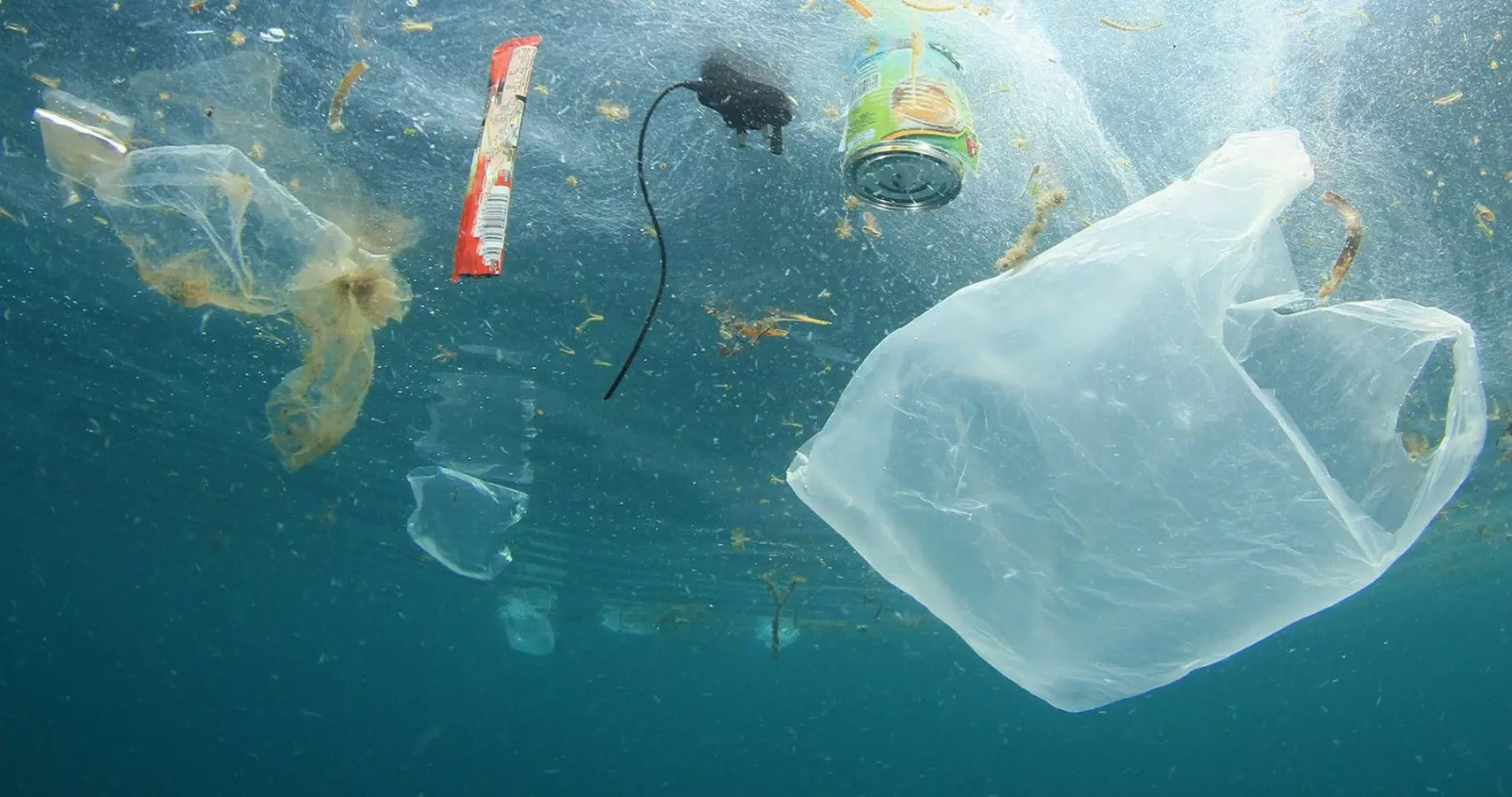 Nove raziskave odkrivajo, da plastični odpadki vplivajo na vsak kotiček oceana 12158_3