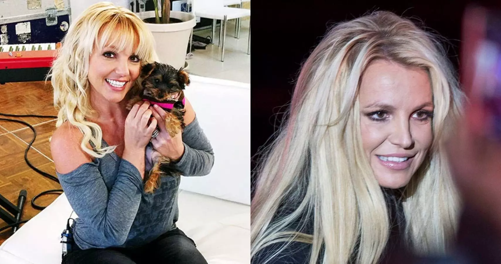 10 lächerlech deier Saachen déi d'Britney Spears kaaft huet 13134_0