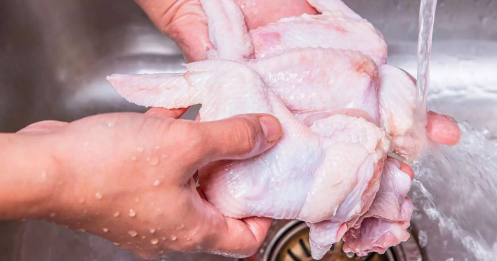 Kentukyje kepta liga: kaip išvengti naminių paukščių apsinuodijimo maistu 13572_4