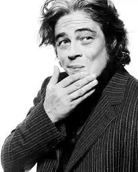 Benicio del Toro netto waarde 13939_1