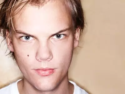 Avicii Net Worth