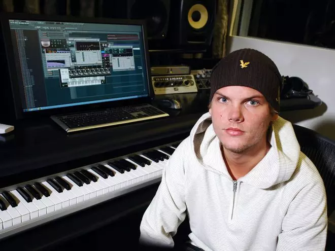 Avicii ශුද්ධ වටිනාකම 1480_3