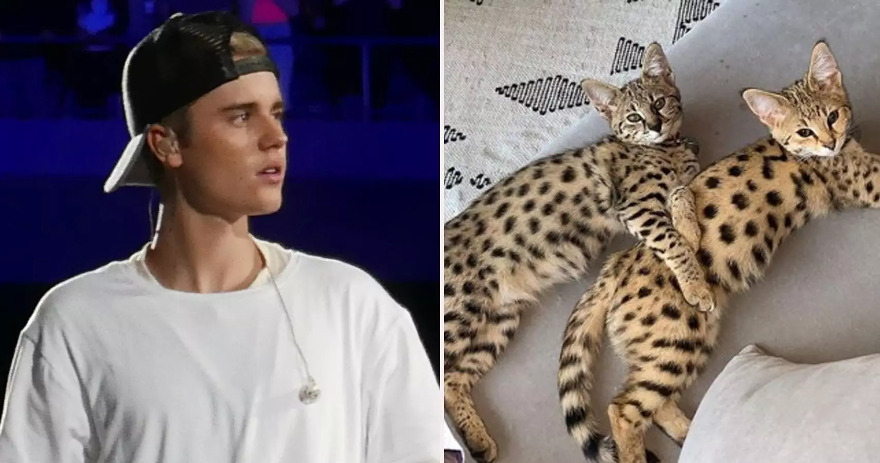 10 smiješno skupih stvari koje je kupio Justin Bieber