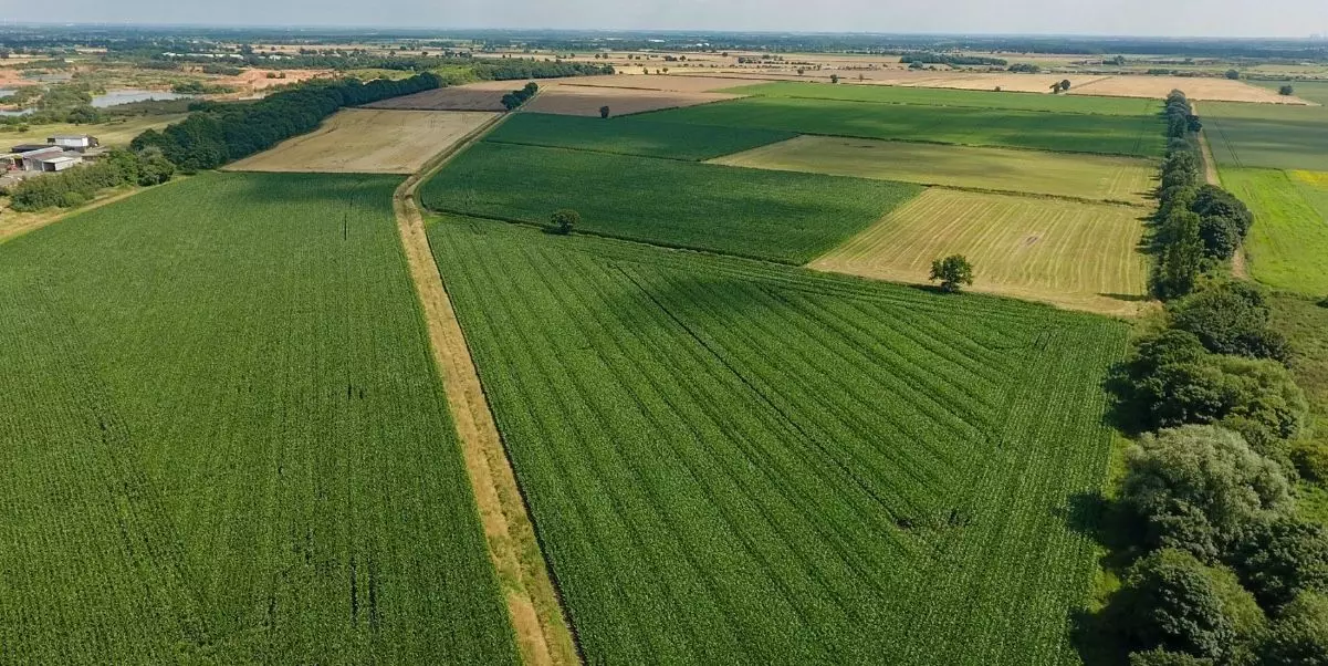 Бай адамдардың Ұлыбританияның ауылдық жерлеріне қашуының 10 себебі 17001_11