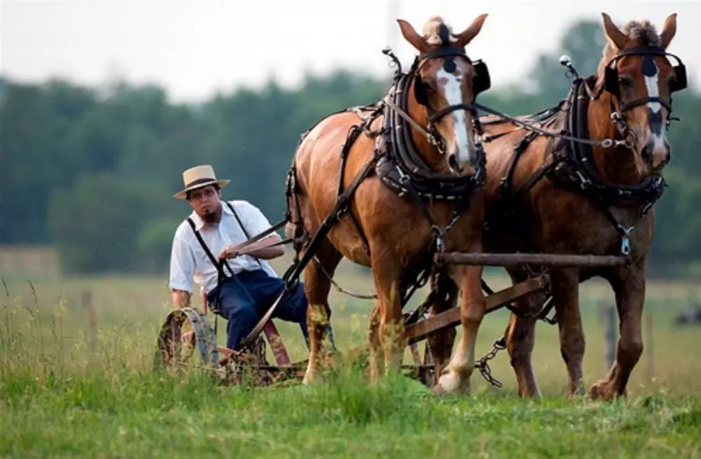 ទីប្រជុំជន Amish ចំនួន 25 នៅសហរដ្ឋអាមេរិក អ្នកណាក៏អាចទៅទស្សនាបាន។ 17329_6