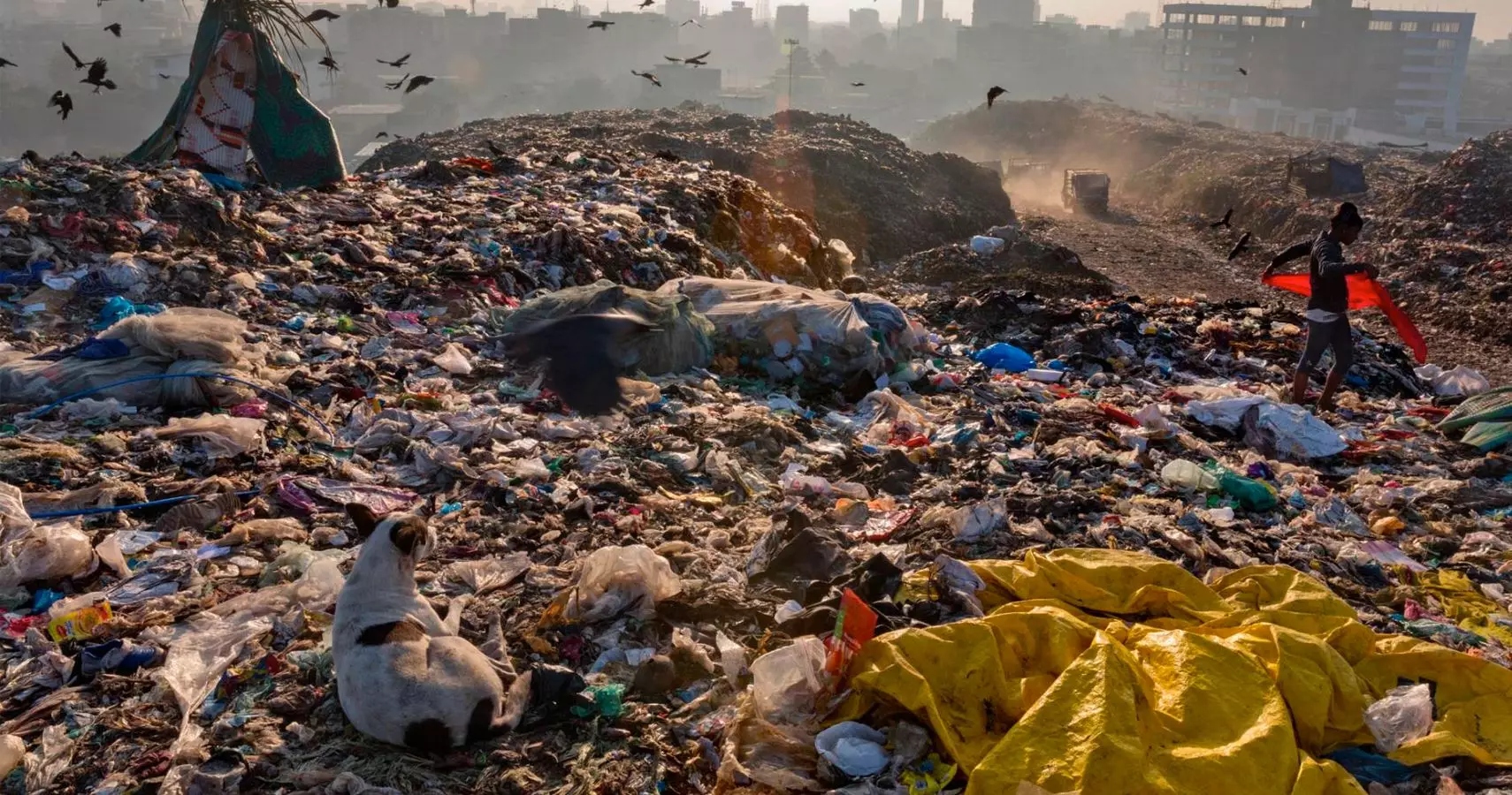 Científicos que traballan en plástico biodegradable feito de palla 17479_3