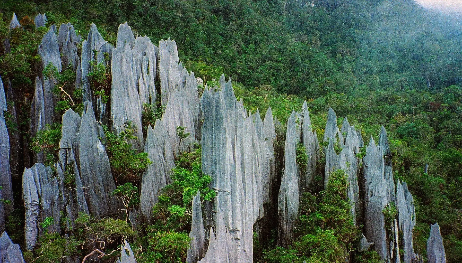 12 Sa Labing Gamay nga Nasuhid nga mga Frontier sa Yuta 19977_4