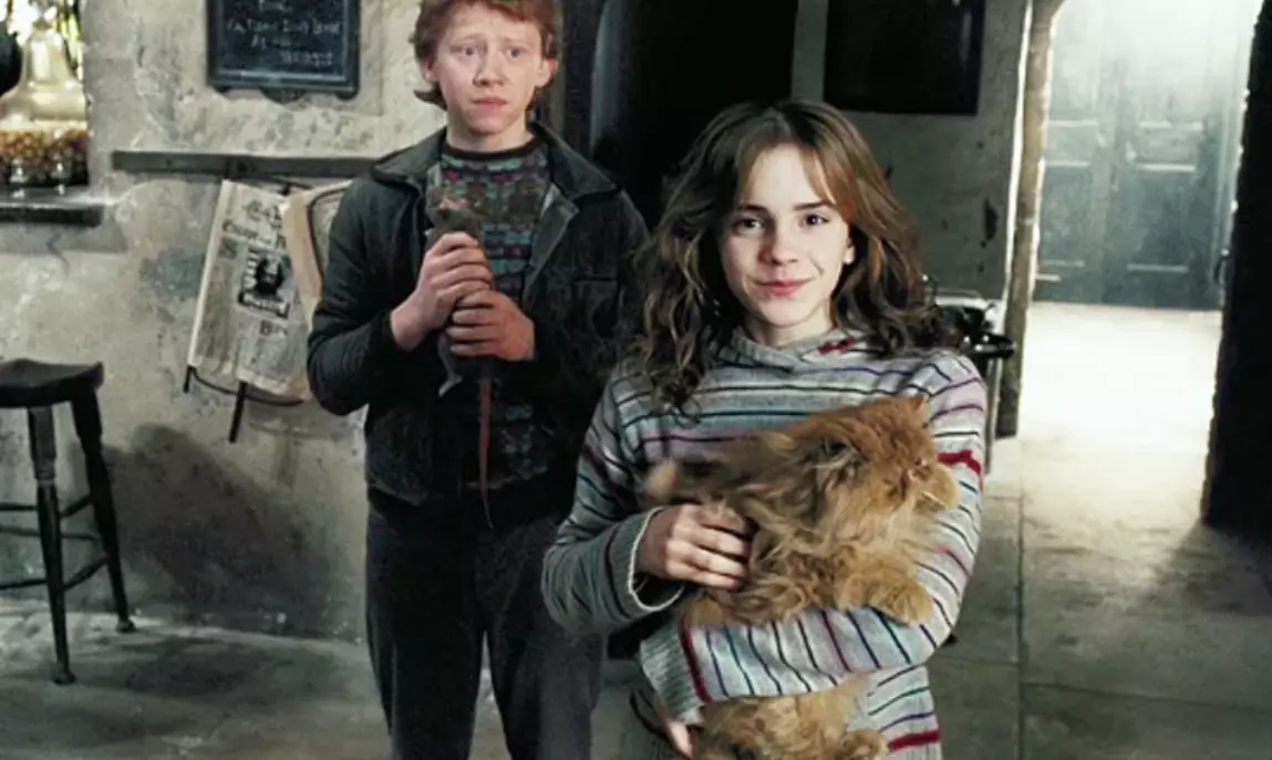 15 cose su Hermione Granger che non hanno senso 20240_10