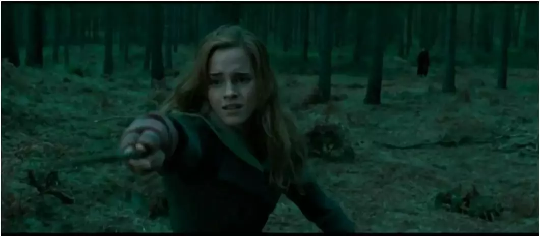 15 cose su Hermione Granger che non hanno senso 20240_15