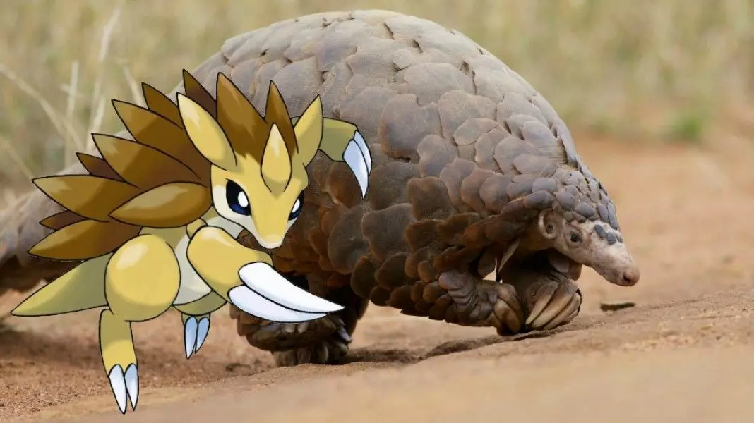 15 Pokemon që ekzistojnë në të vërtetë në jetën reale 23049_7