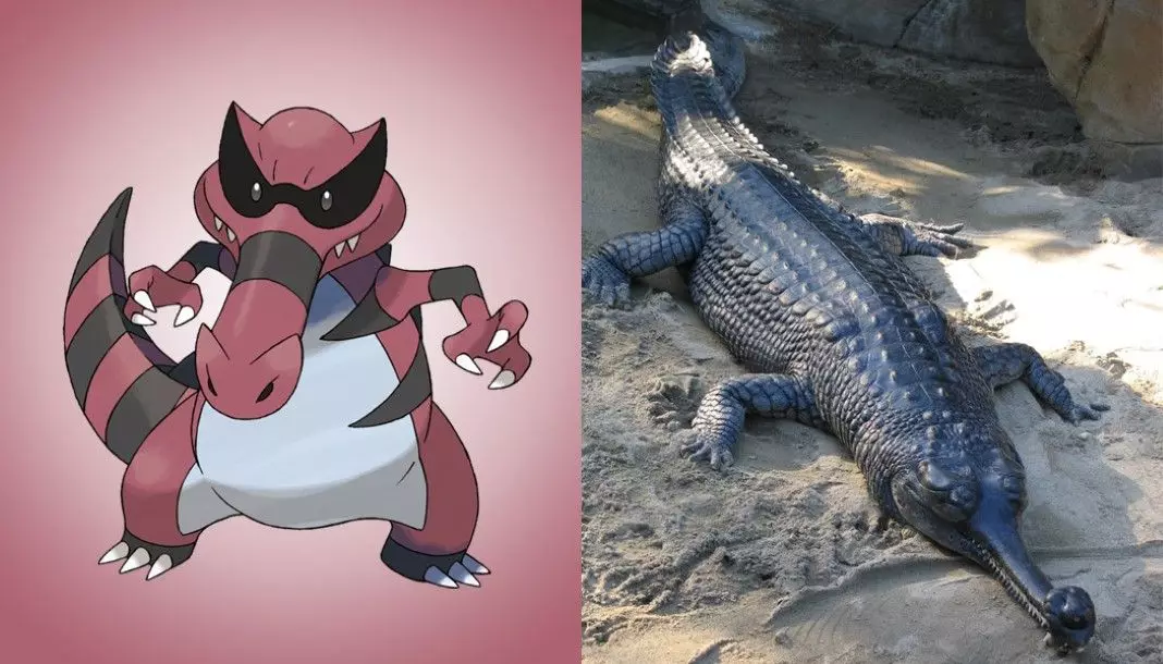 15 Pokémonų, kurie iš tikrųjų egzistuoja realiame gyvenime 23049_8