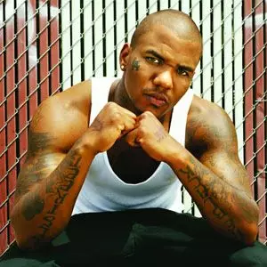 The Game Net Worth 24216_1