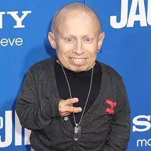 Valoarea netă a lui Verne Troyer 24514_1