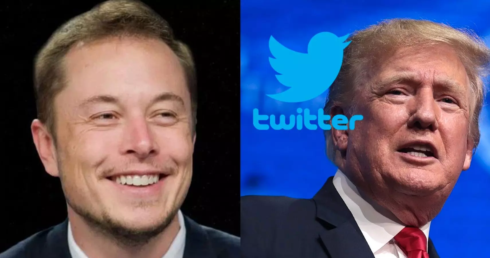 Trump ໄດ້ສູນເສຍການຮ້ອງຟ້ອງ Twitter ຂອງລາວ, ແຕ່ Elon Musk ມີກັບຄືນໄປບ່ອນຂອງລາວ