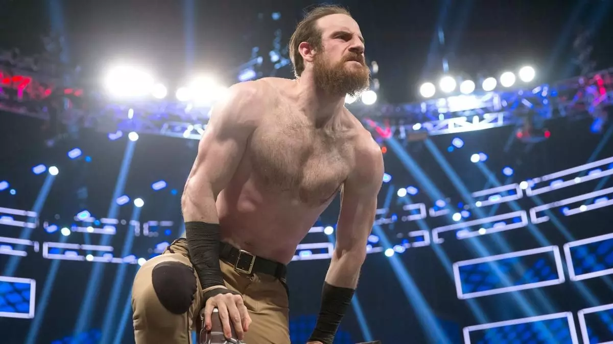 15 WWE Superstar na Dapat Umalis sa Kumpanya Sa 2018 26741_11