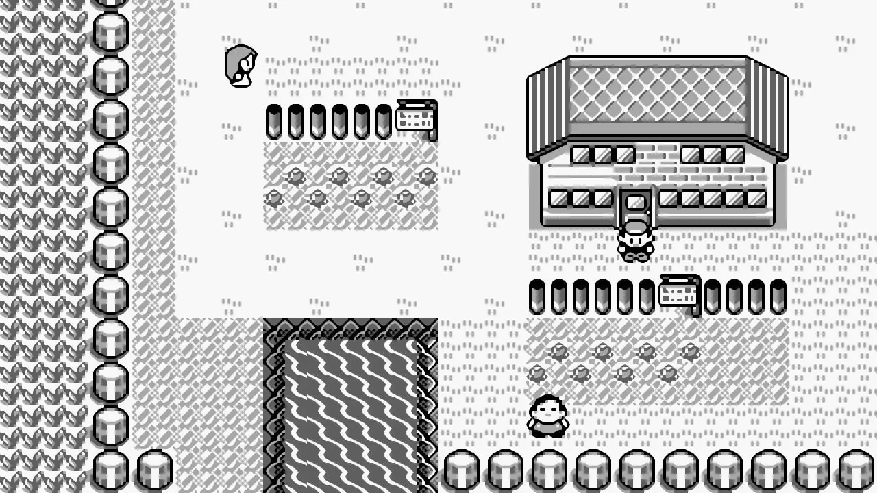 15 Fakta Palsu Tentang Pokemon yang Membodohi Kita Semua 26903_8