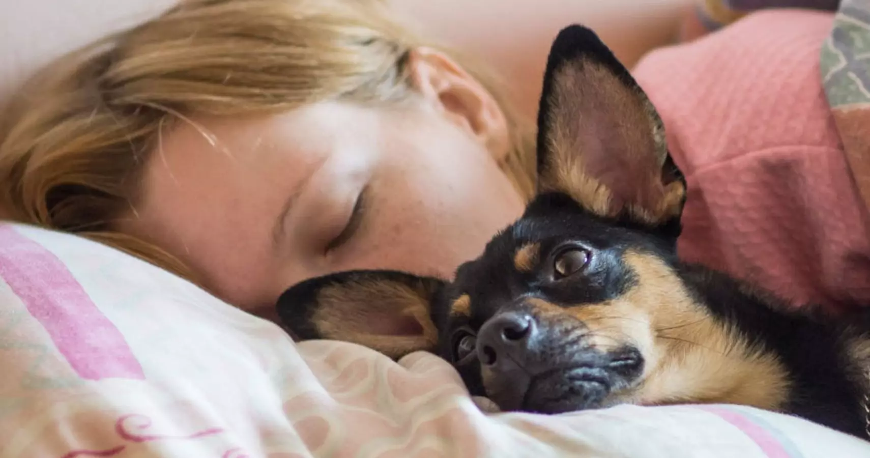 Les femmes dorment mieux avec un chien dans leur lit qu'avec un partenaire humain