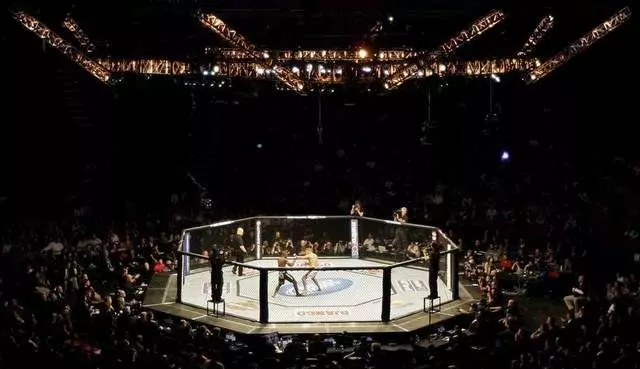 UFC priča – boreći se na putu do vrha 27092_3