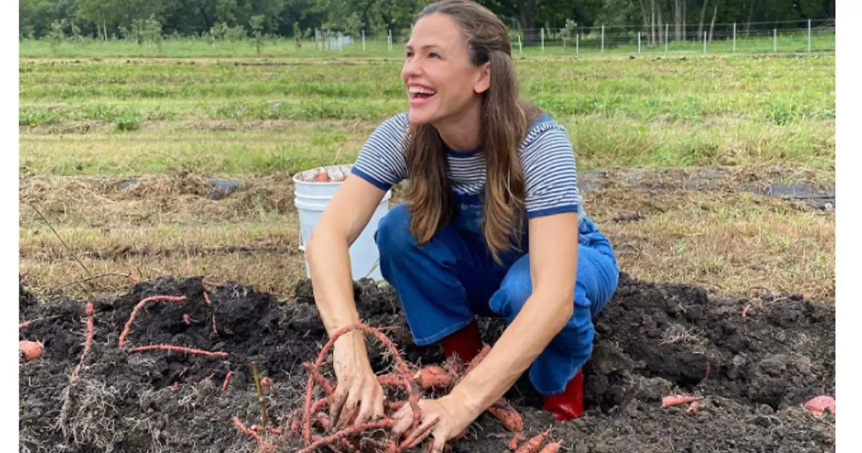 Gudaha Jennifer Garner's 'Mar On A Farm' Ganacsiga Cuntada