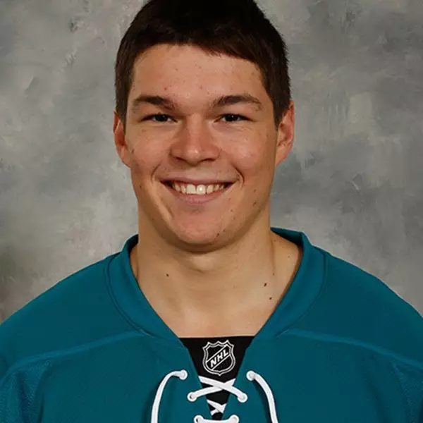 Tomas Hertl Giá trị tài sản ròng 29169_1