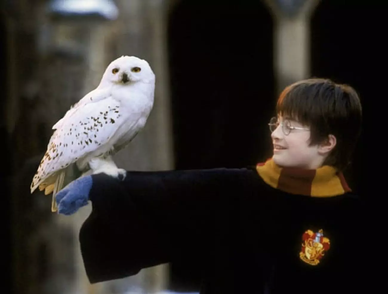 8 Ffordd y Bu Ffilmiau Harry Potter yn Cigyddiaeth Y Llyfrau (A 7 Gwaith Roedd Yn Well) 29769_14