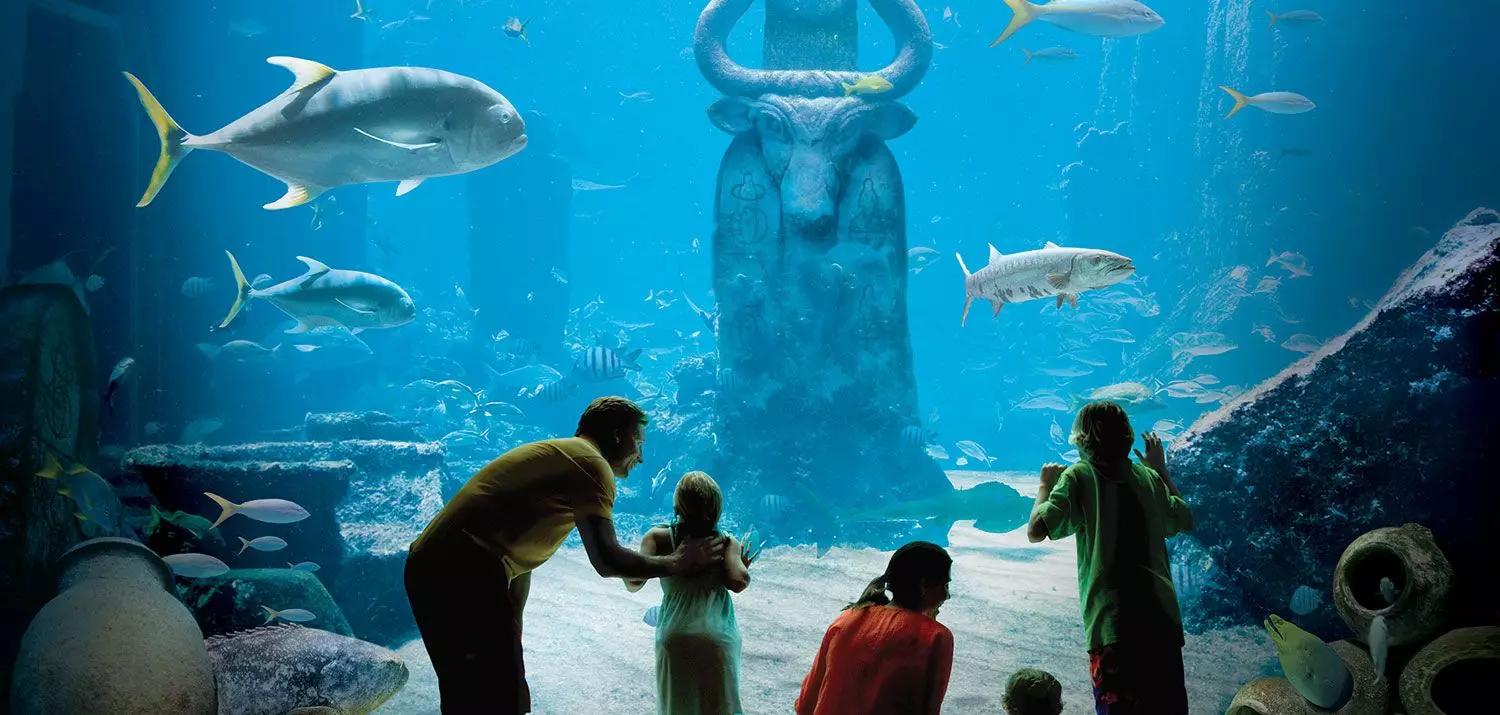 15 вещей, которые нужно знать каждому об Atlantis Bahamas (включая сюиту Майкла Джексона) 29968_7