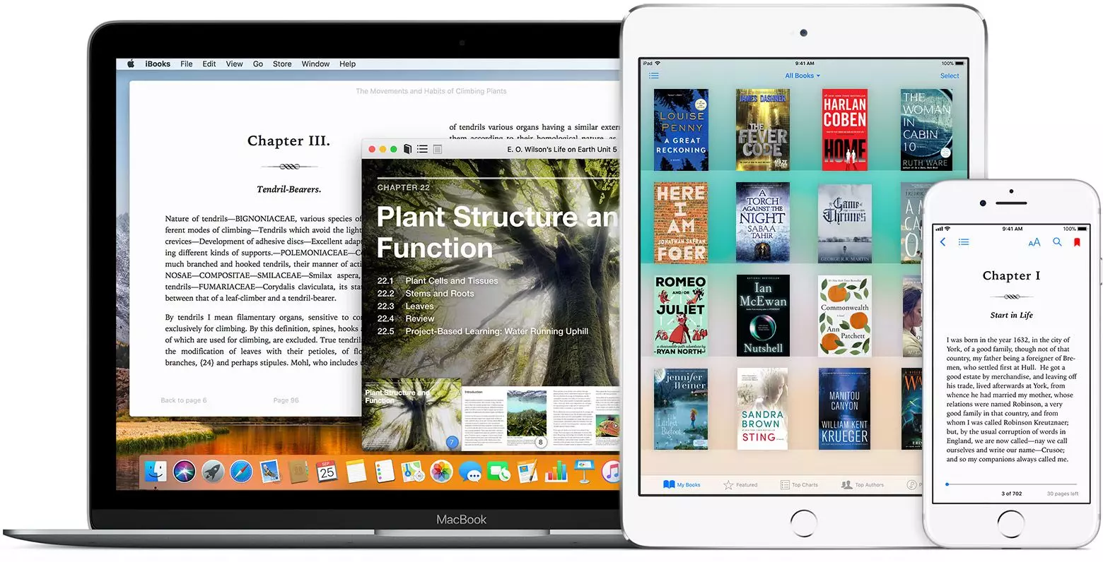 Google actualitza Play Book per a iOS de la mateixa manera que Apple iBooks n'obté un 30207_3