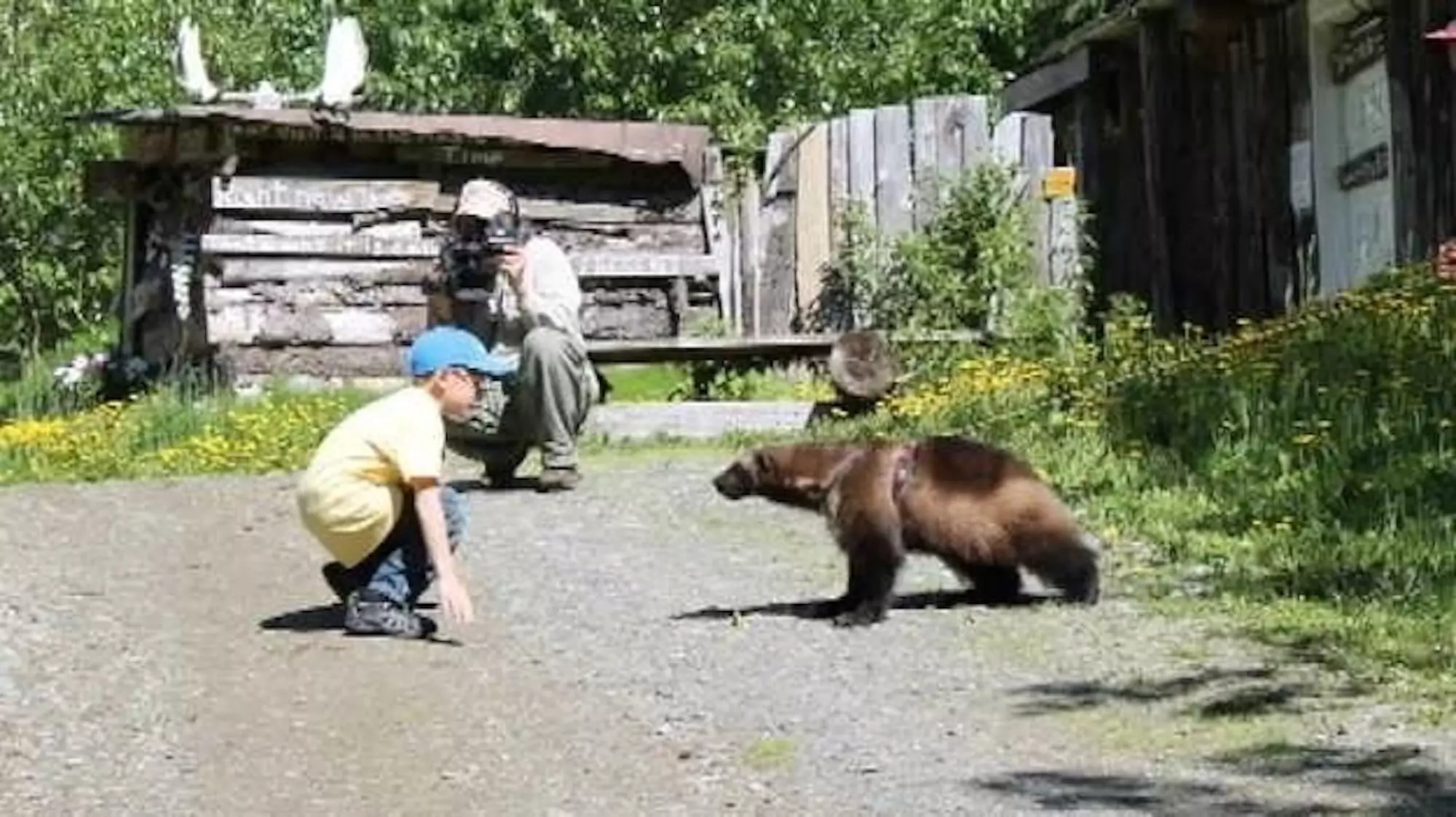 Хүсэл тэмүүлэлтэй хамгийн сэтгэл хөдөлгөм 15 түүх 3277_15