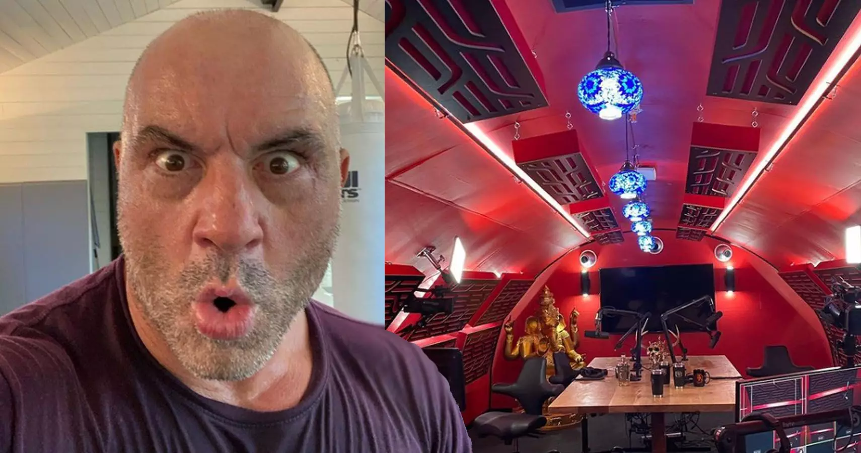 Joe Rogan Təcrübəsinin 10 Ən Zəngin Qonaqları