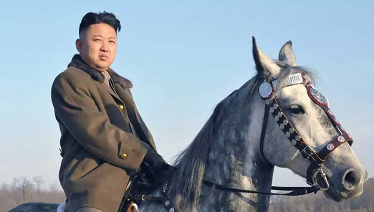 15 cele mai scumpe și întâmplătoare lucruri pe care Kim Jong Un le cumpără cu banii săi 3616_6