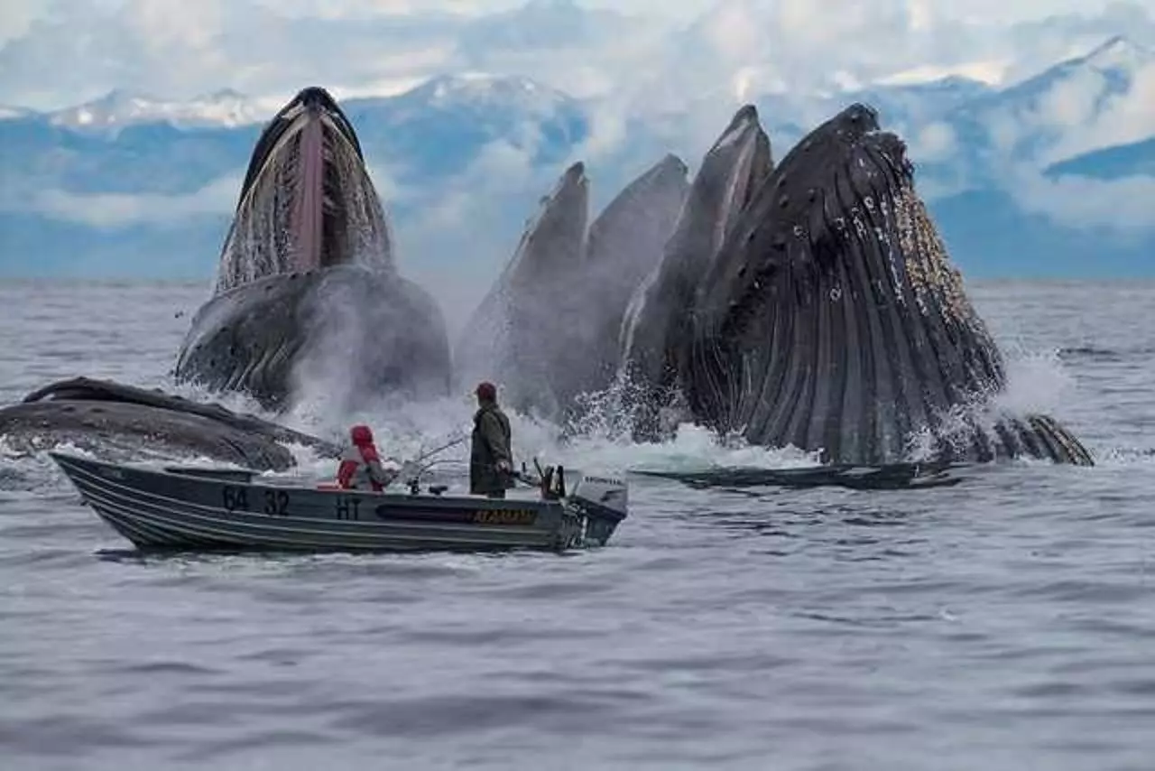 15 fotos que ens fan que mai vulguem pujar a un vaixell 36462_12