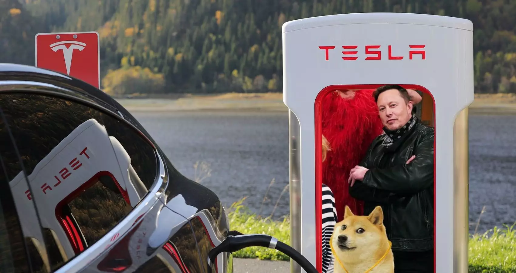 Elon Musk fragt Twitter, ob Tesla Dogecoin akzeptieren soll 3784_0