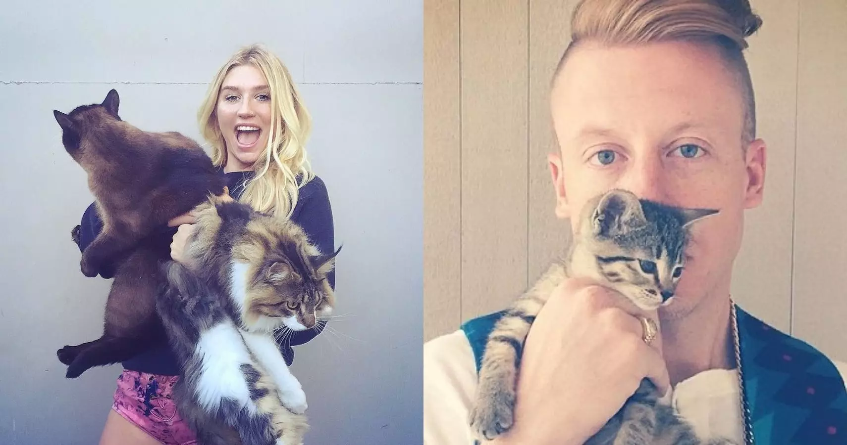 10 celebridades que están obsesionadas con los gatos 3984_0