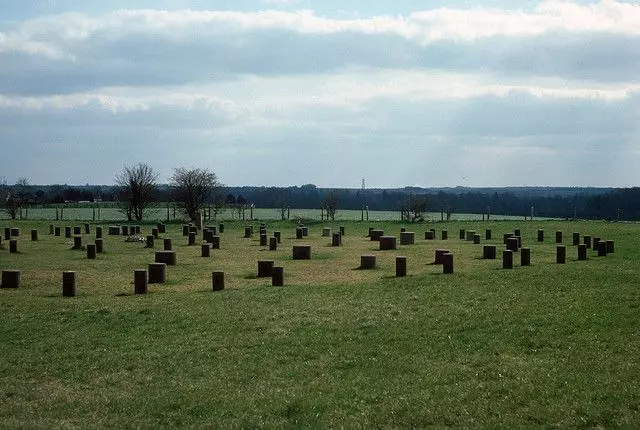 Déi wichtegst prehistoresch Artefakte entdeckt am 21. Joerhonnert 39981_4