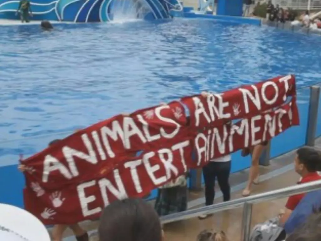 SeaWorld contre le zoo : 15 images dérangeantes que nous n'étions pas censés voir 41325_10