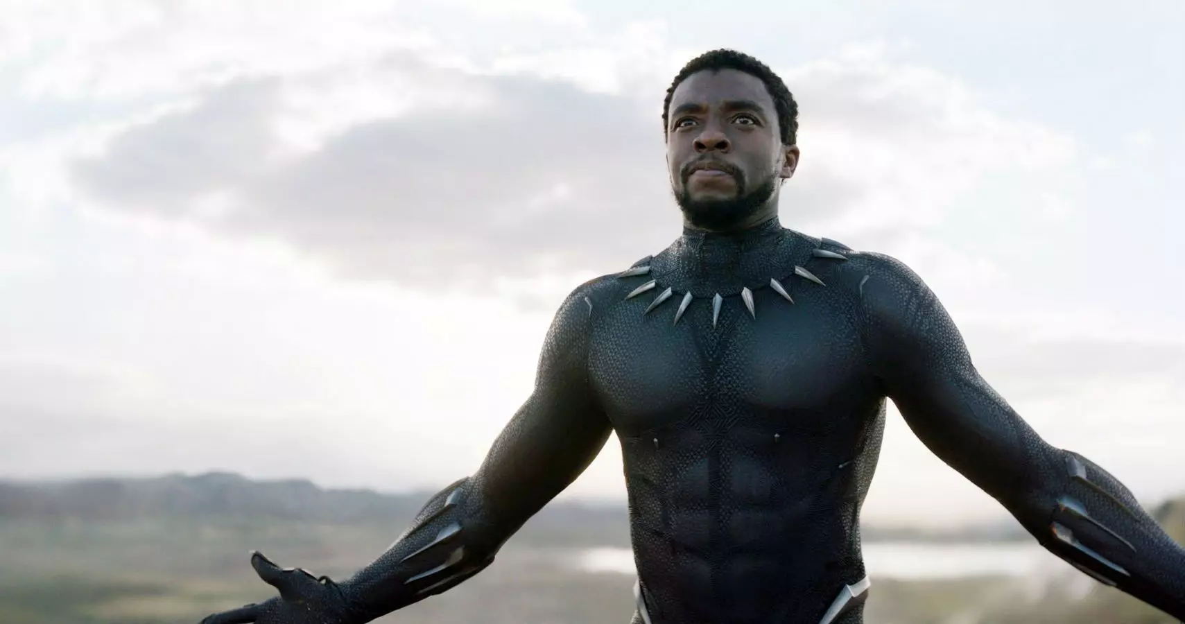 Black Panther е најбогатиот суперхерој на MCU на некој начин 4202_3