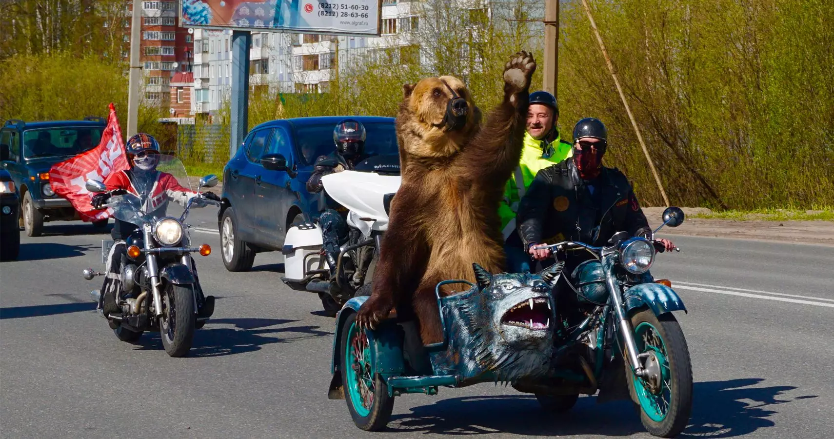 Hier ist ein Bär, der in einem Motorrad-Beiwagen auf einer öffentlichen Straße fährt 42712_0