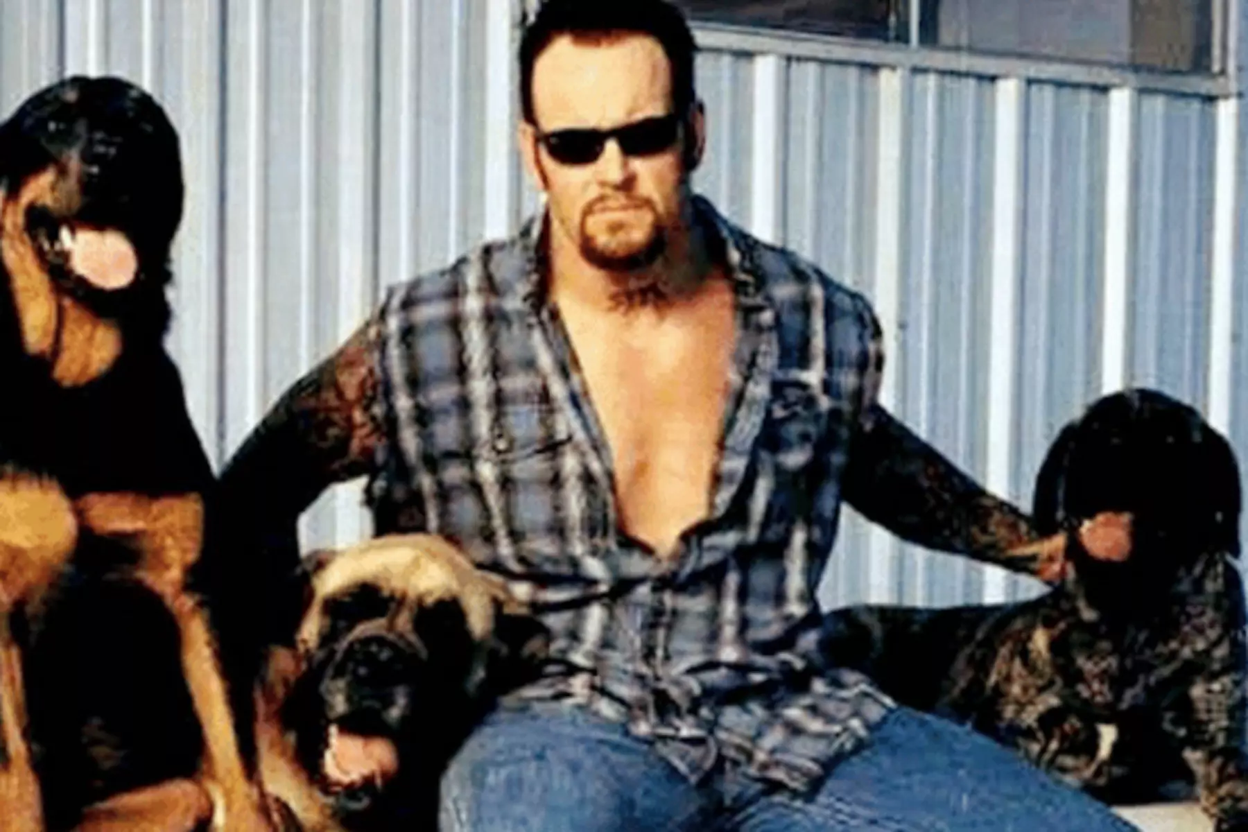 The Undertaker Out Of The Casket: 15 Hal Yang Tidak Anda Ketahui Tentang Fenomena 45014_12