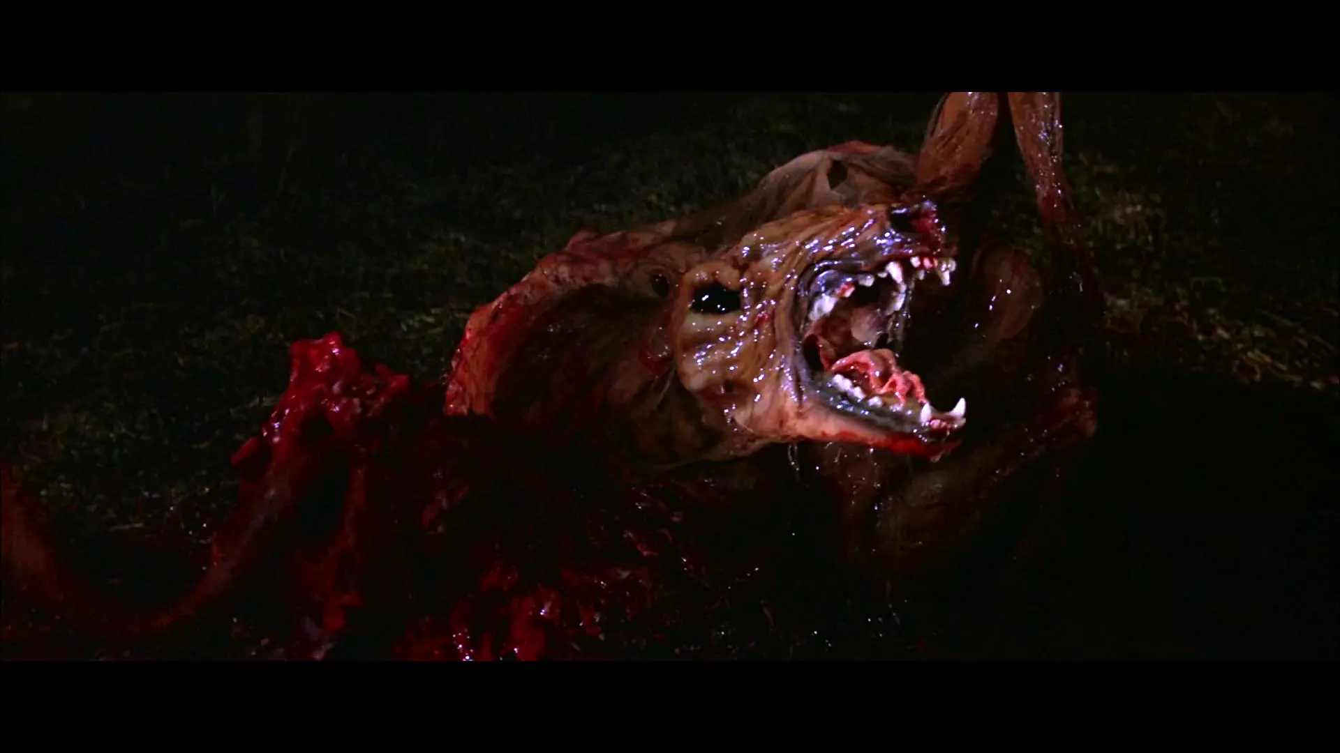 15 от най-зловещите изглеждащи чудовища/извънземни в историята на филмите 47666_11