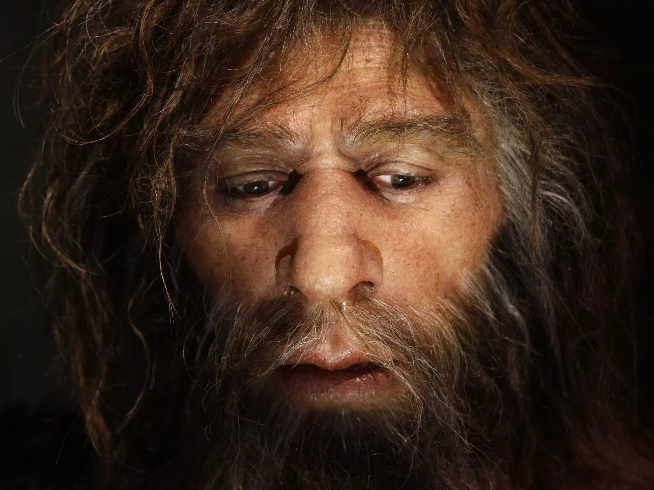 5 teoriaa, joita et tiennyt neandertalilaisista 48515_0