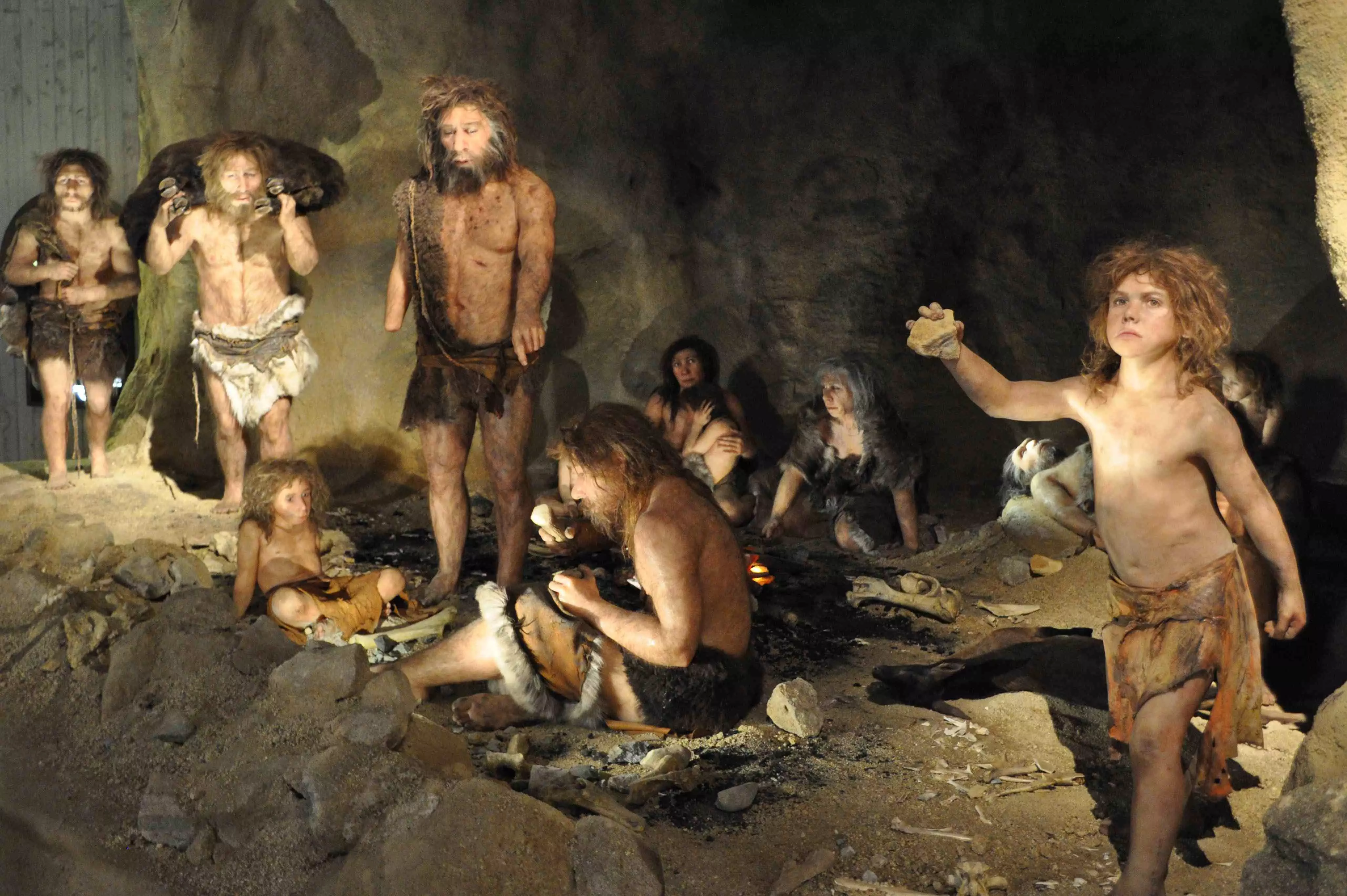 5 teoriaa, joita et tiennyt neandertalilaisista 48515_5