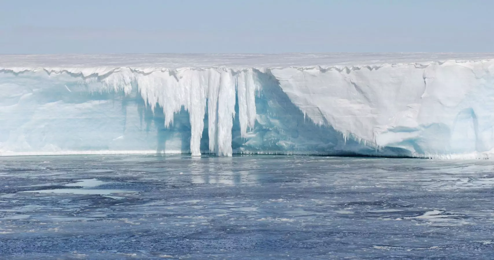 Изследователи заснемат неуловимото морско същество край бреговете на Антарктида 52221_0