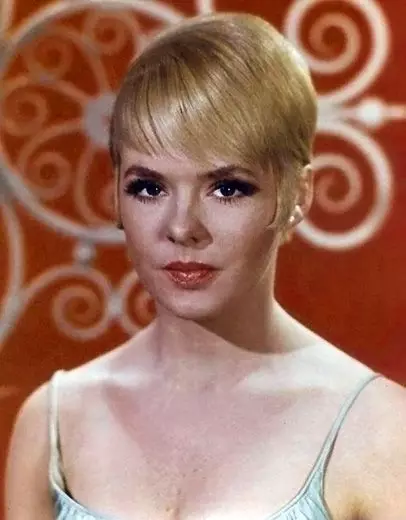 Joey Heatherton Neto vrijednost 52335_2