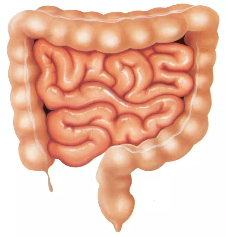 Le dieci procedure mediche più costose 54631_12