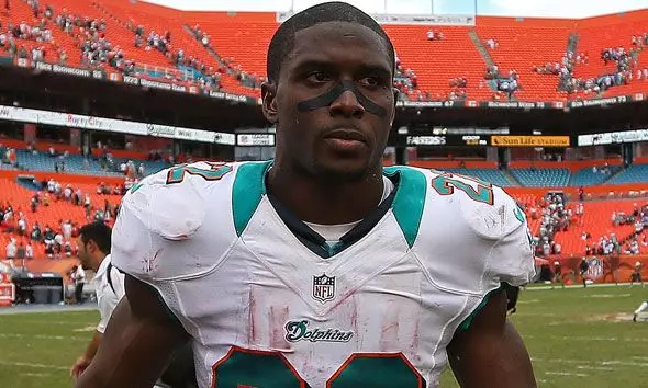 Reggie Bush Net Worth 6760_2