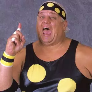 Dusty Rhodes Neto vrijednost 8126_1